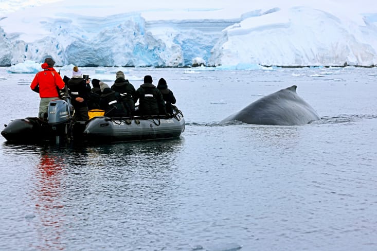 Arctic - International Guiding Institute